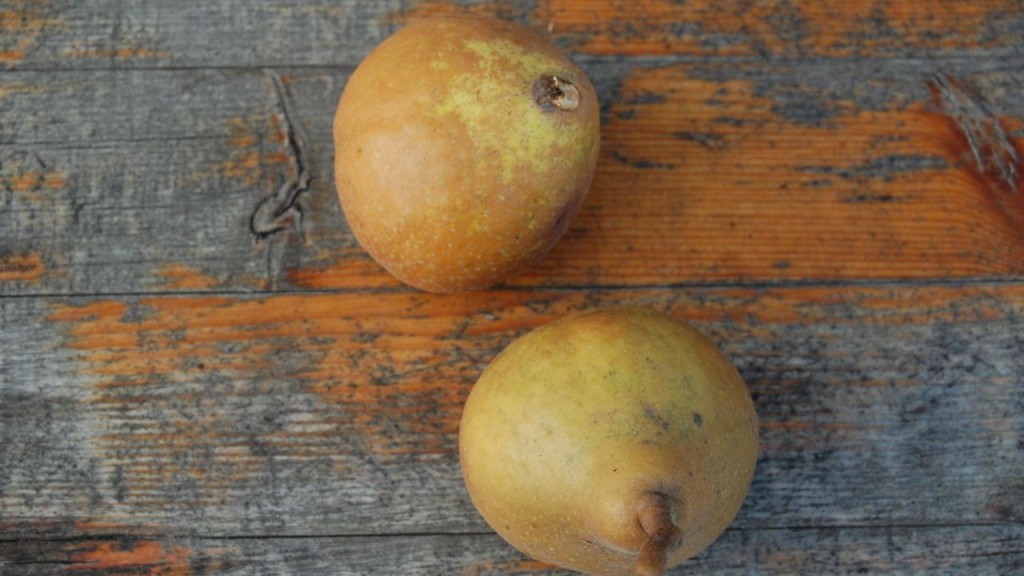 The Sand Pear - Image Curve